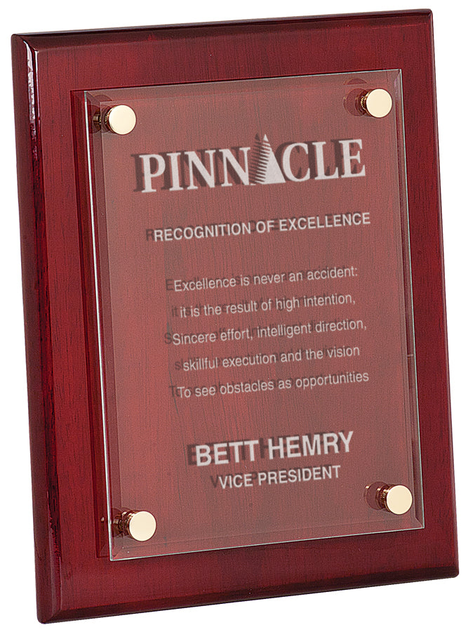 Floating Acrylic and Art Plaques – Feature Awards